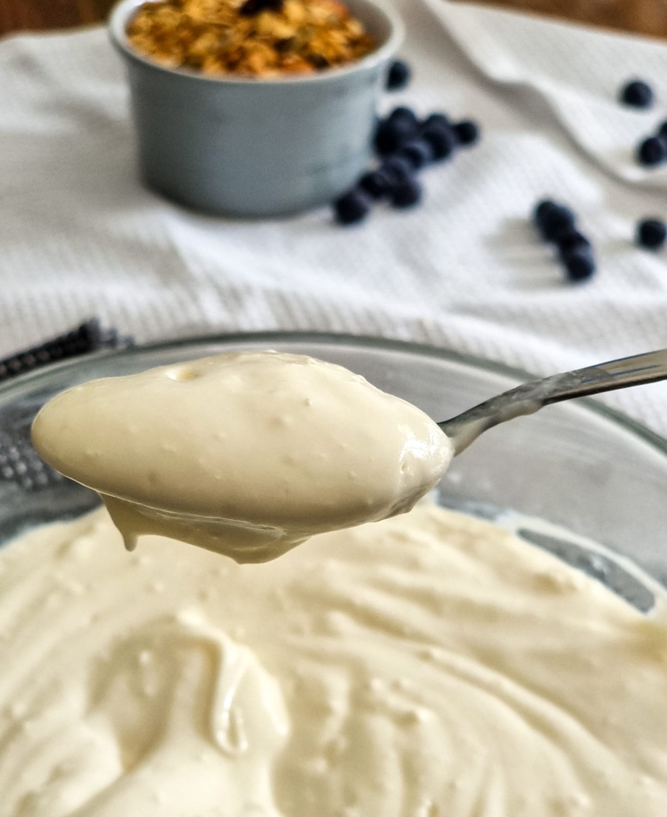 How to make Yogurt using an Instant Pot?